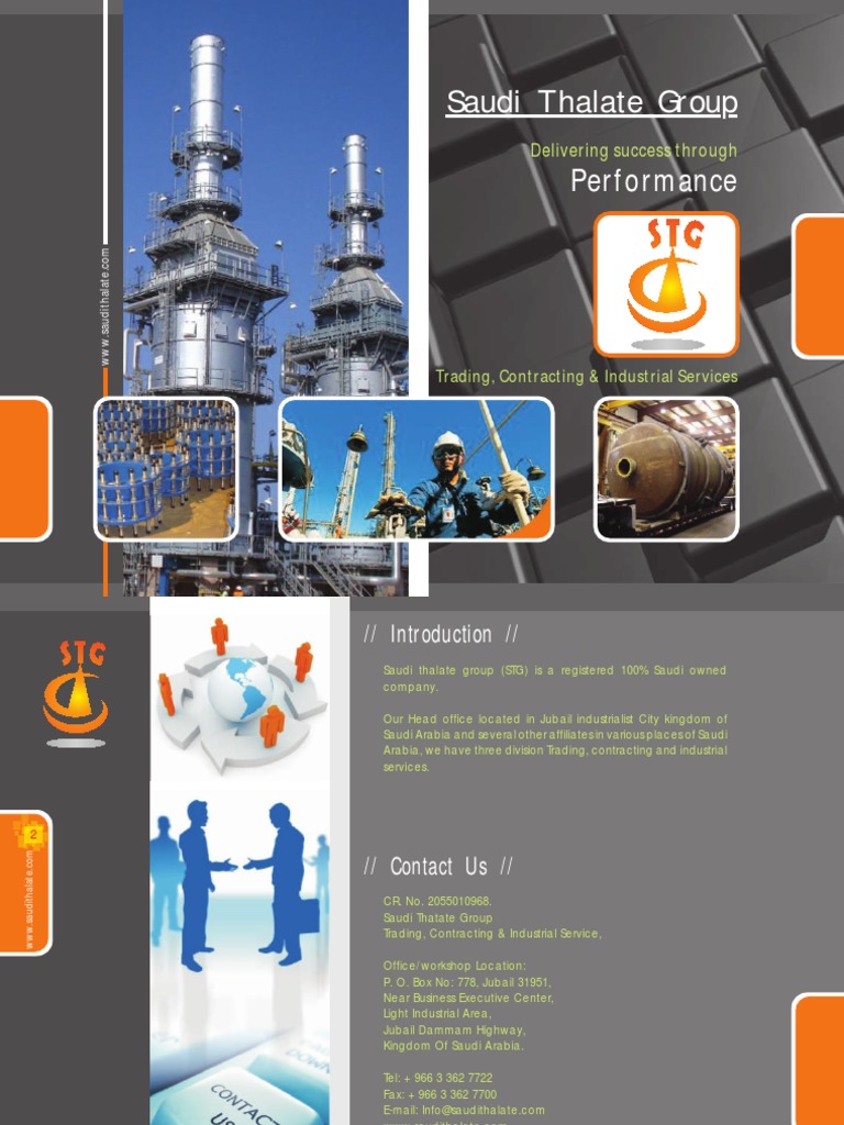 STG Profile | PDF | Safety | Occupational Safety And Health