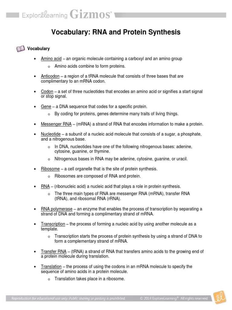 Rna Protein Synthesis Vocab | PDF