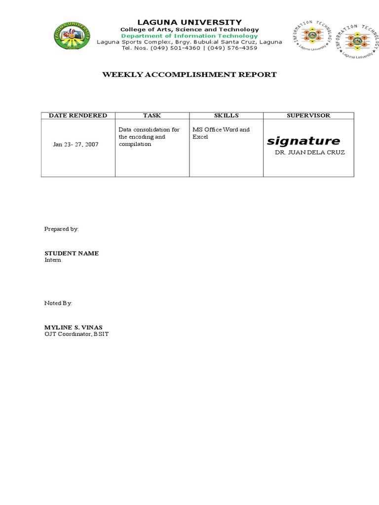 BSIT Internship Weekly Report | PDF