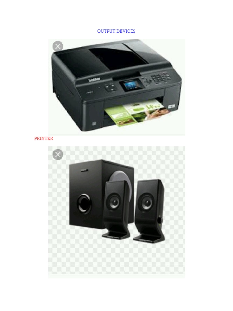 Output Devices | PDF