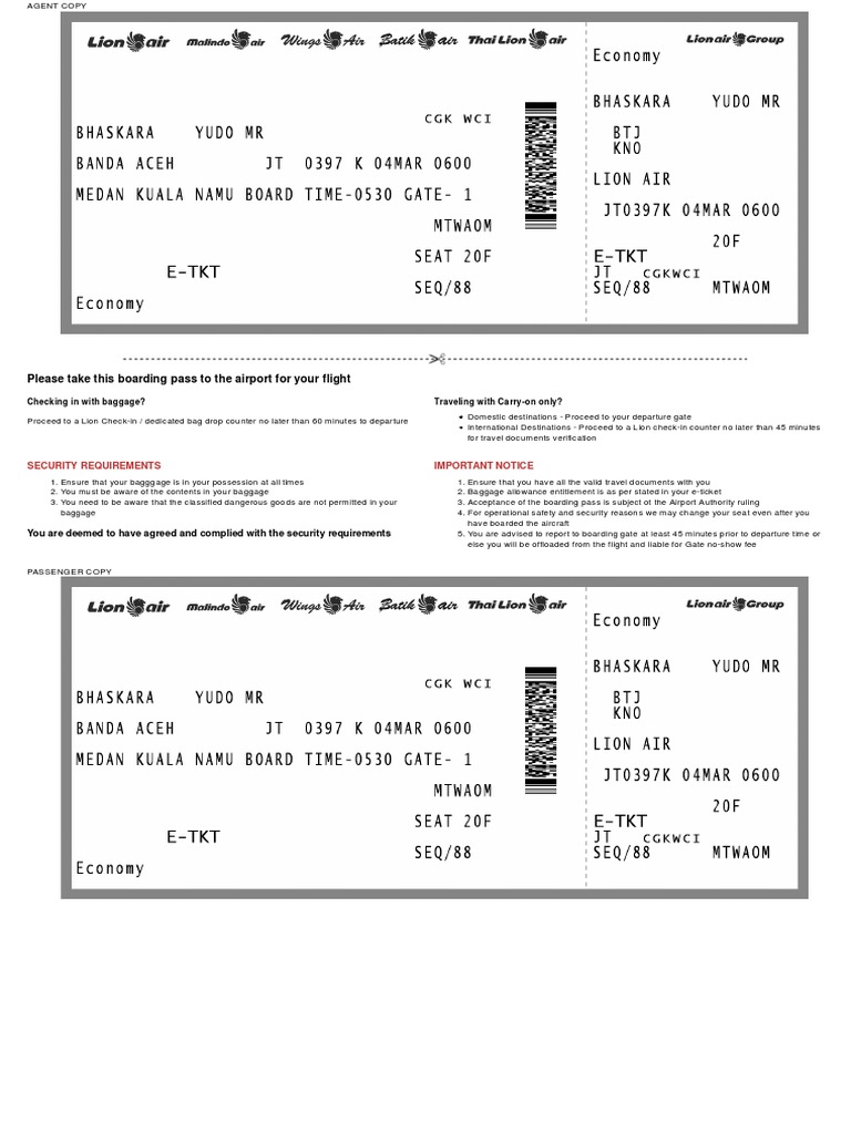 Please Take This Boarding Pass To The Airport For Your Flight | PDF