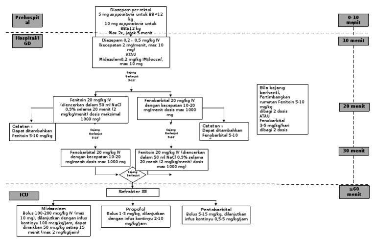 Tatalaksana Kejang Akut Dan Status Epileptikus | PDF