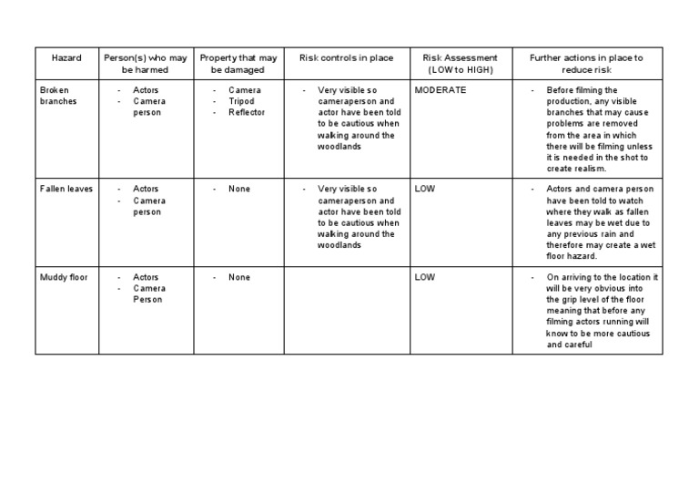 Risk Assessment - Wandering | Risk | Safety