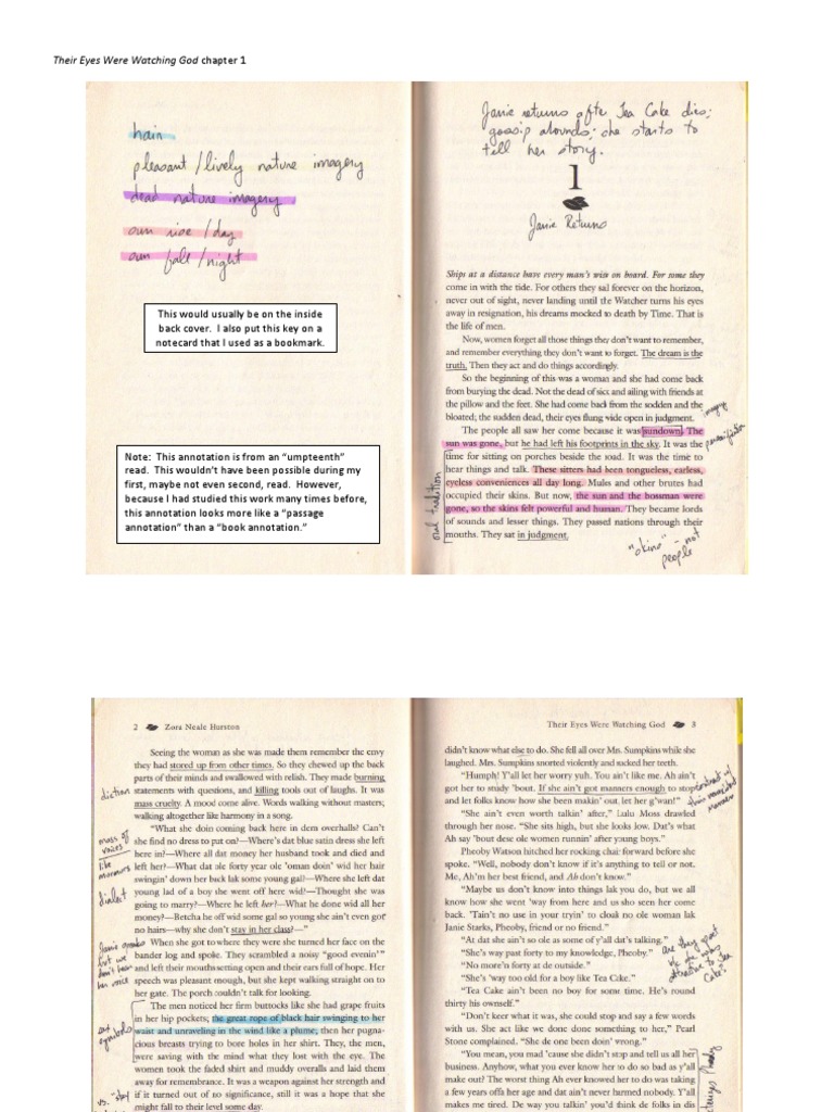 Opening Annotations - Their Eyes Were Watching God Chapter 1 | PDF