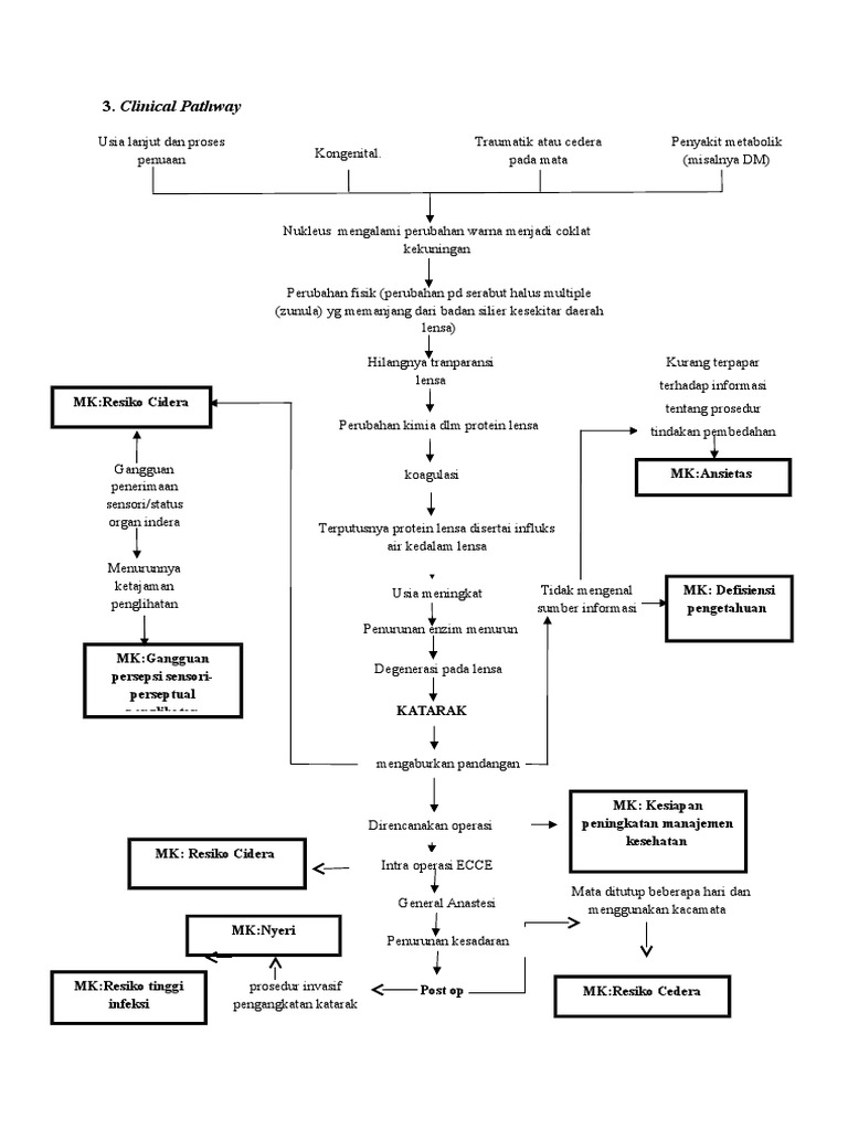 Pathway Katarak | PDF
