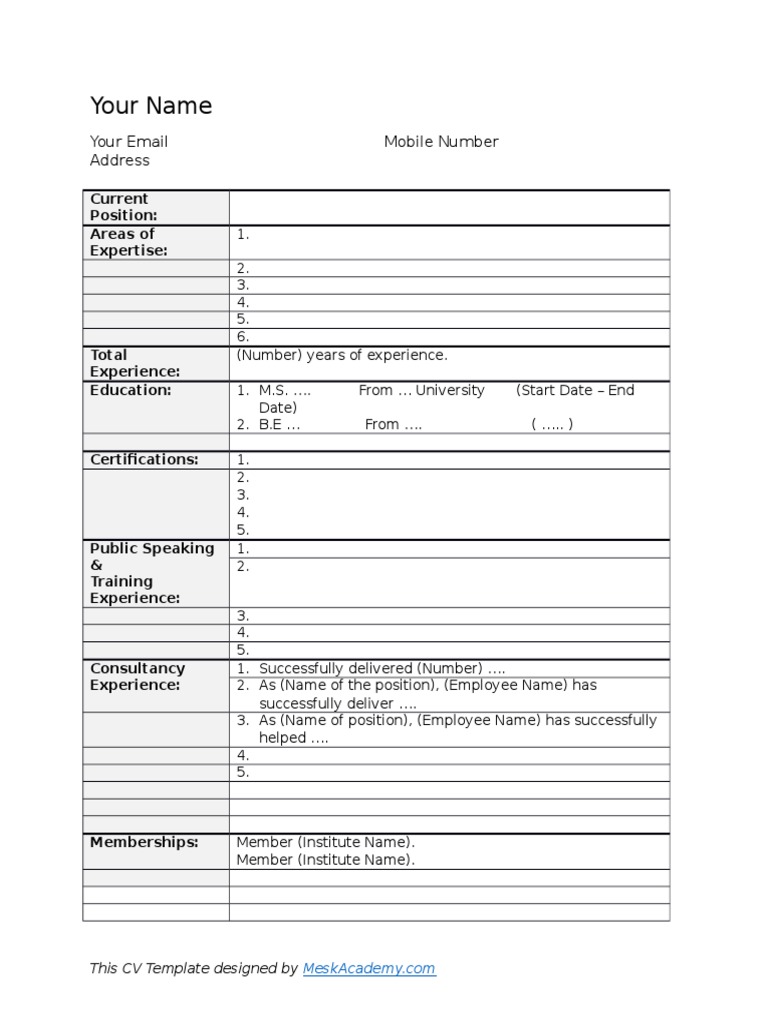 Professional CV Template Guide | PDF