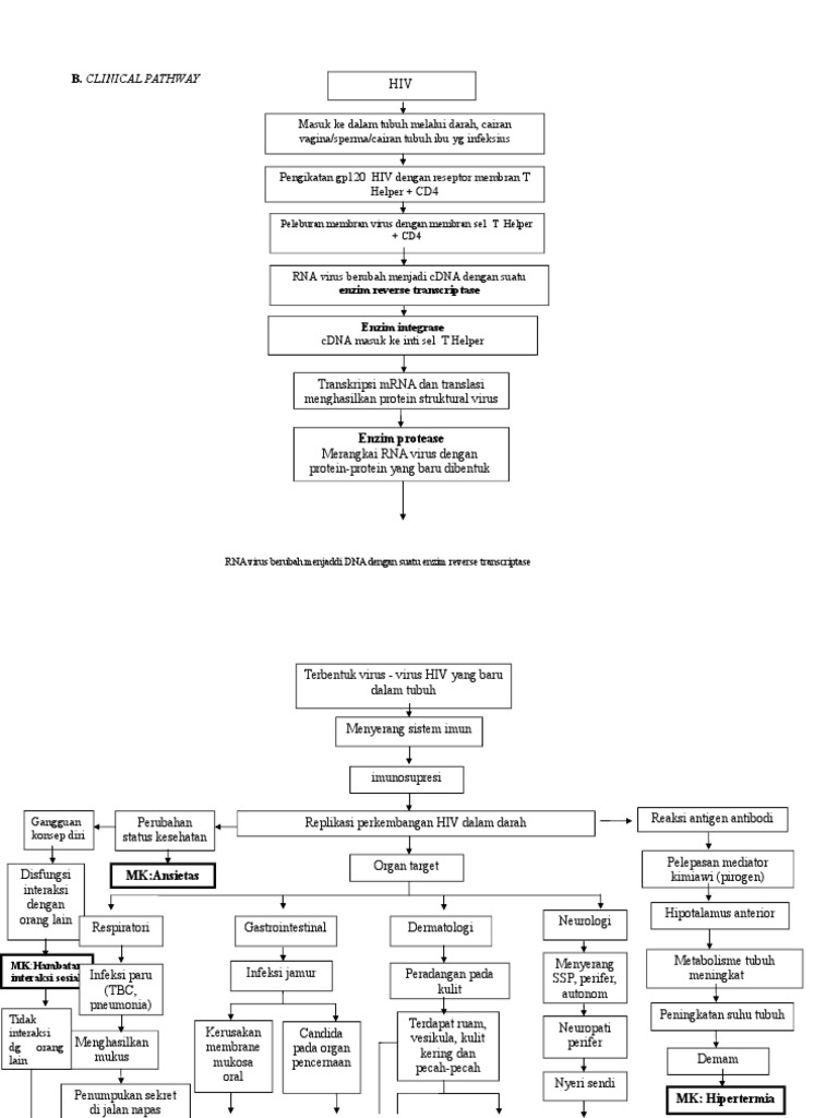 Pathway HIV AIDS.doc