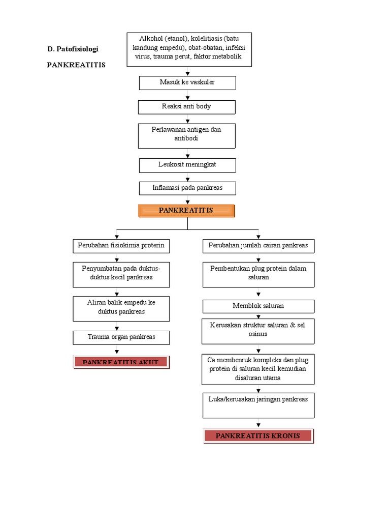 Pathway Pankreatitis | PDF