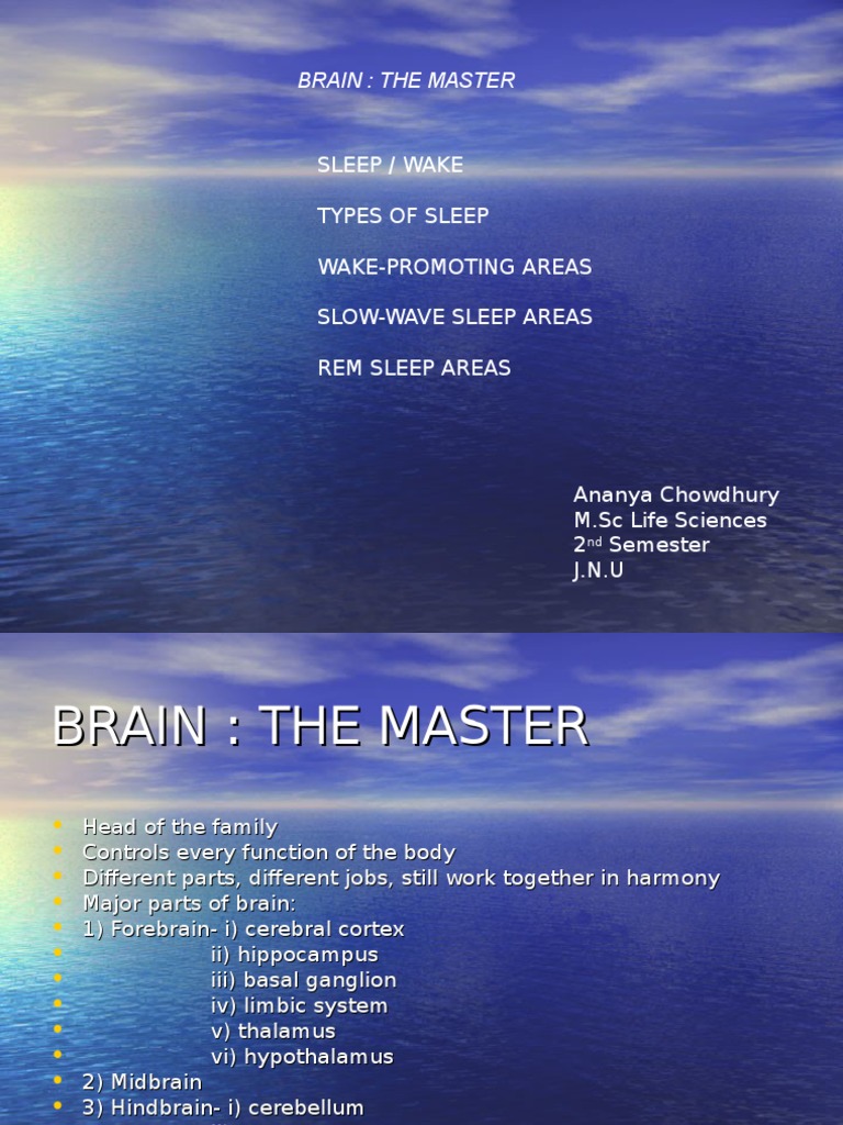 Brain: The Master: Sleep / Wake Types of Sleep Wake-Promoting Areas ...