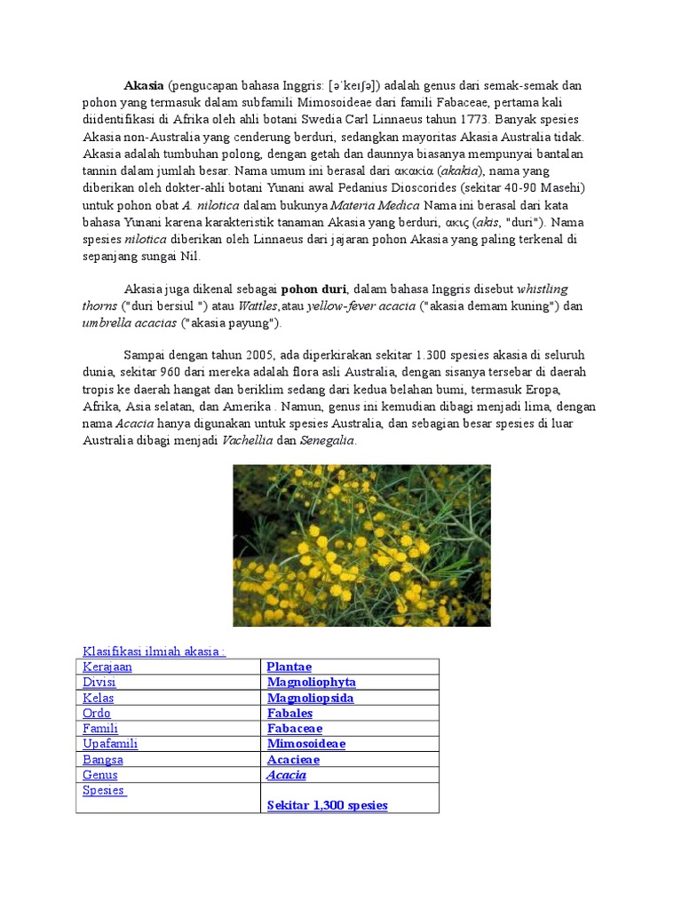 Akasia | PDF | Griya & Taman