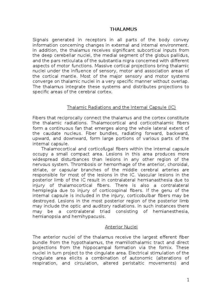 Thalamus Notes | PDF | Thalamus | Chemical Synapse