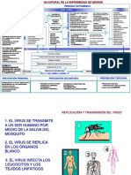 Metodologia de Calculo de AVPP | PDF | Tasa de mortalidad | Especialidades Medicas