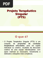 PTS Modelo Simplificado1 | PDF