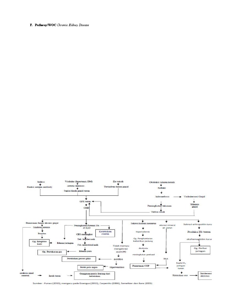 F. Pathway/WOC Chronic Kidney Disease | PDF | Internal Medicine ...