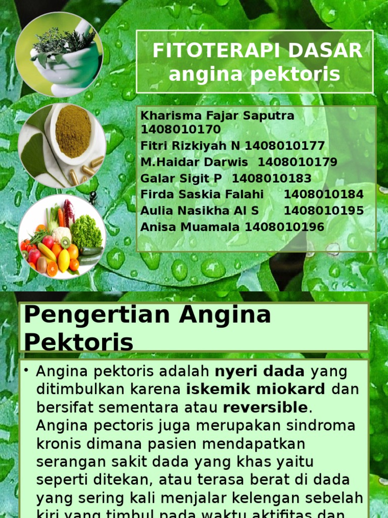 Fitoterapi Dasar Pdf Kesehatan Holistik