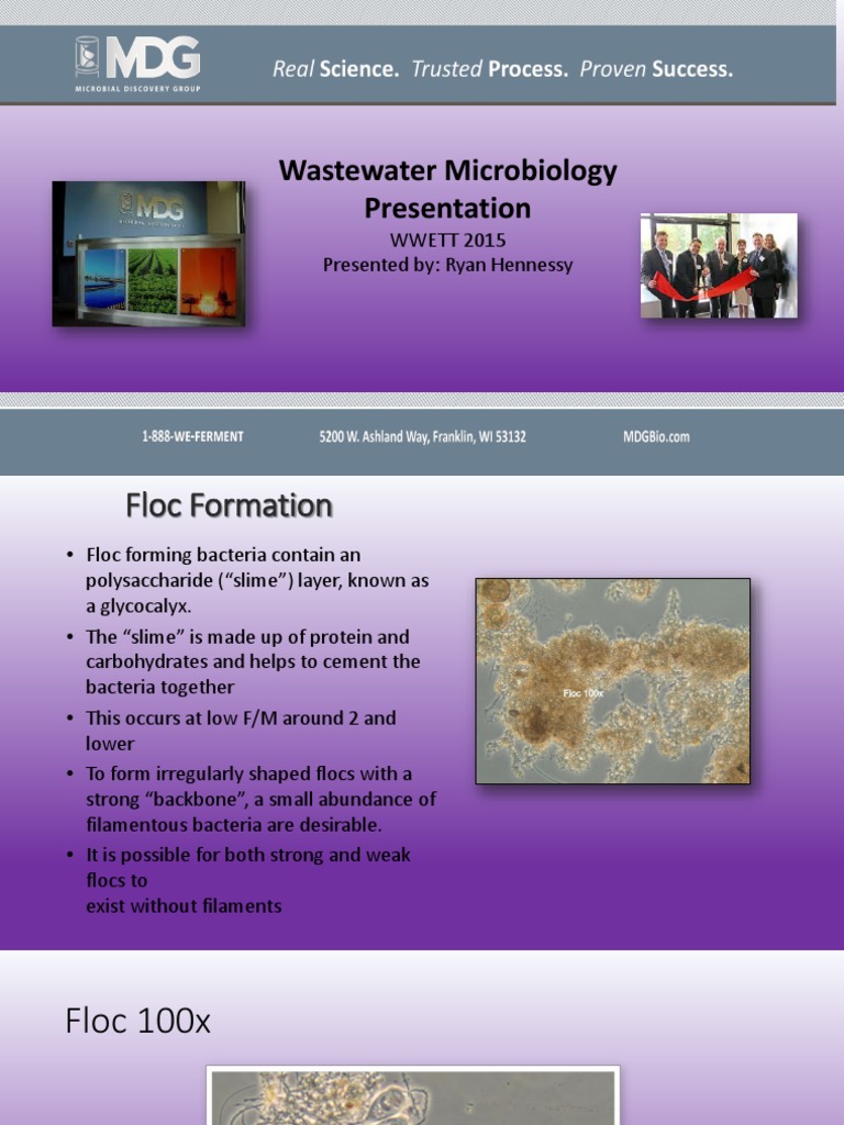 Understanding Wastewater Microbiology: An In-Depth Look at Floc Formation, Higher Life Forms ...