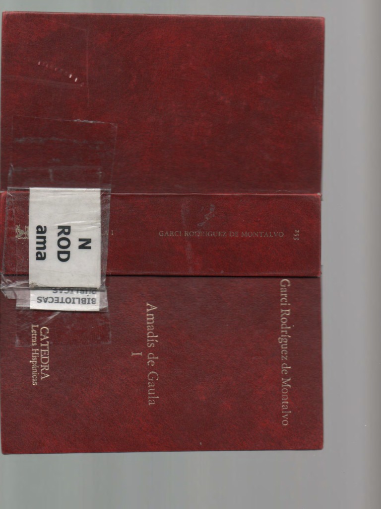 Amadis Estudio de J. Manuel Cacho Blecua