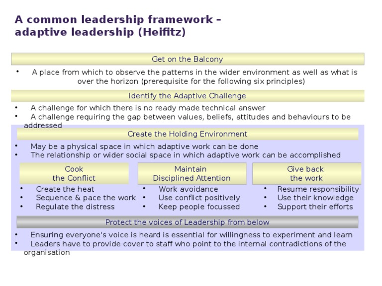 Seven Principles in Adaptive Leadership | PDF