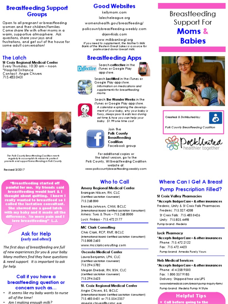 Breastfeeding Support Brochure | PDF | Infancy | Breastfeeding