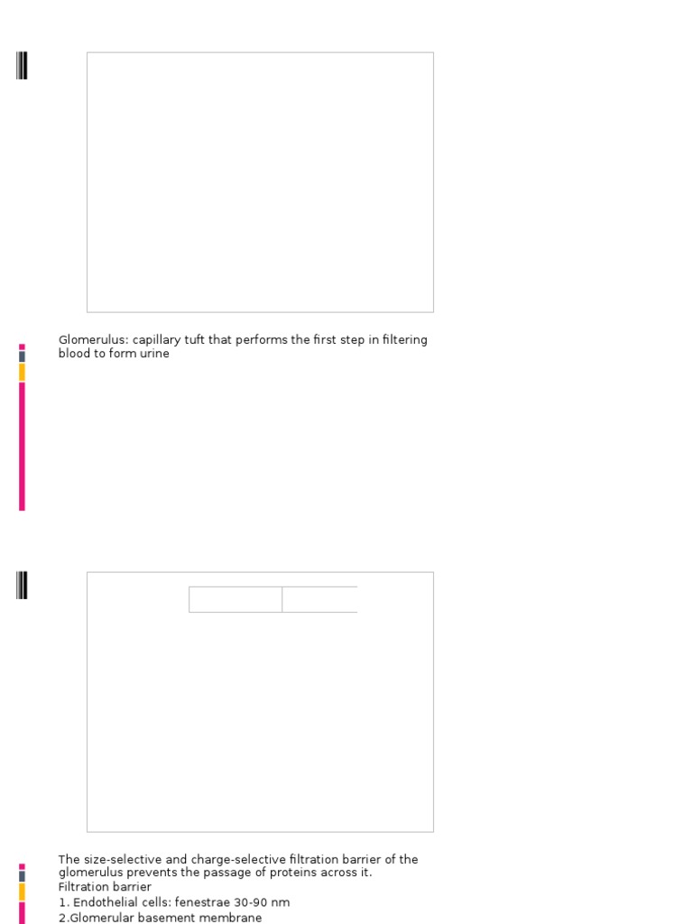 Glomerulus: Capillary Tuft That Performs The First Step in Filtering ...