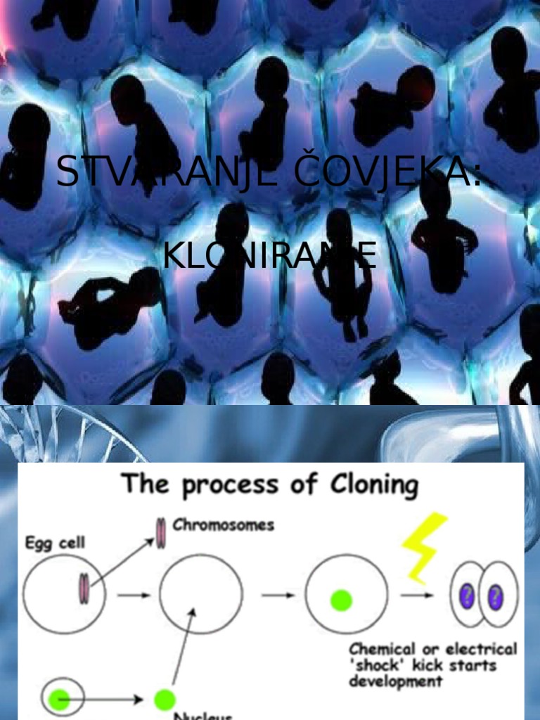 KLONIRANJE | PDF