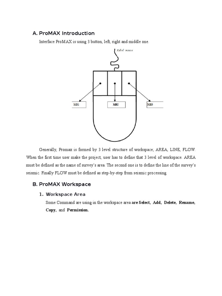 ProMAX Tutorial Faisal | PDF | Parameter (Computer Programming) | File Format