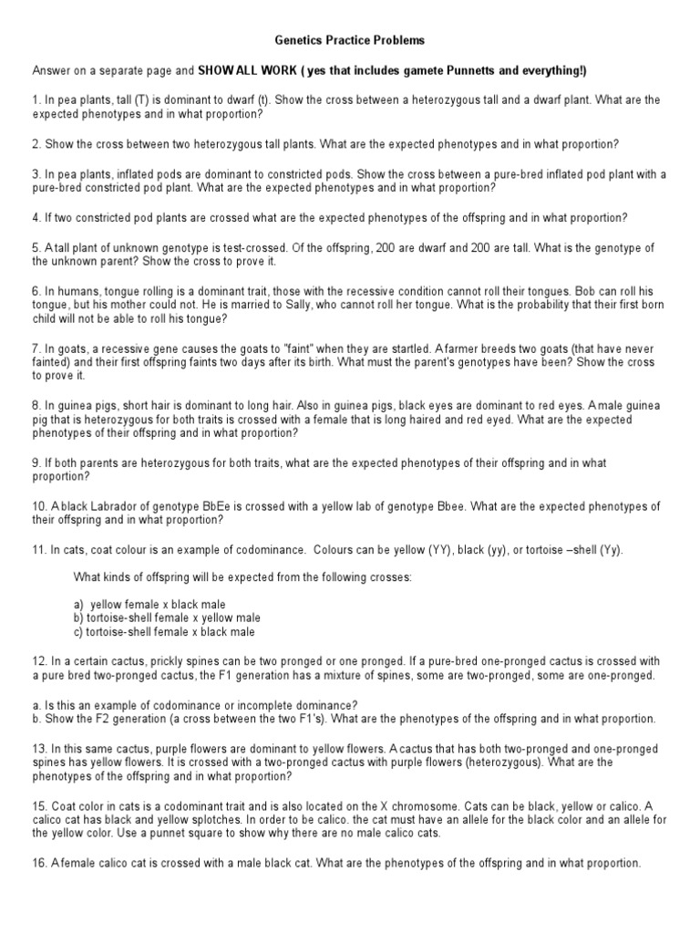 Genetics Practice Problems Pdf Dominance Genetics Zygosity 5286