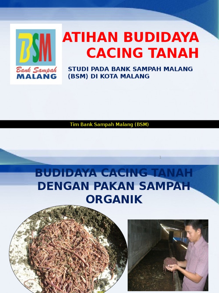 Budidaya Cacing | PDF | Teknologi & Rekayasa