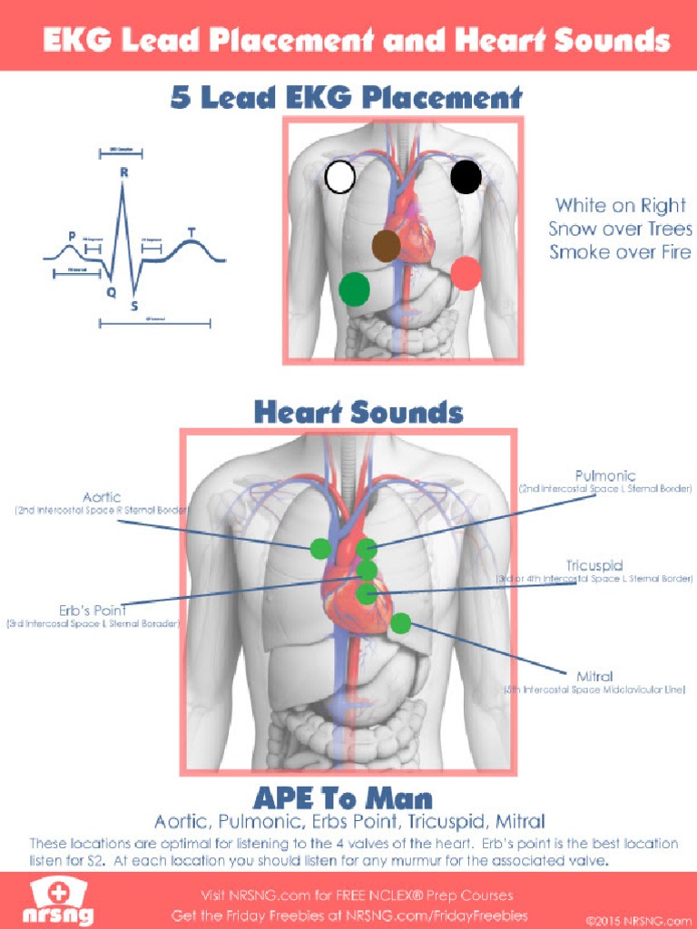 5 Lead EKG Placement | PDF