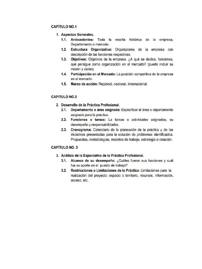 Estructura Capitular para Practica Profesional | PDF