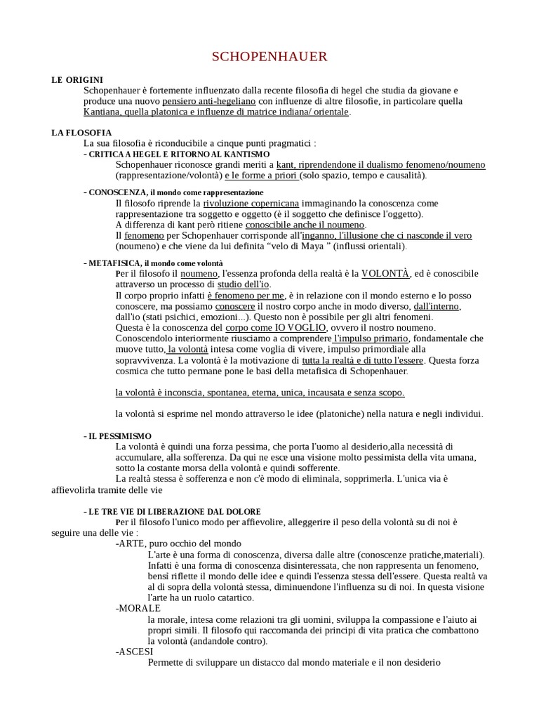 Riassunto Schopenhauer