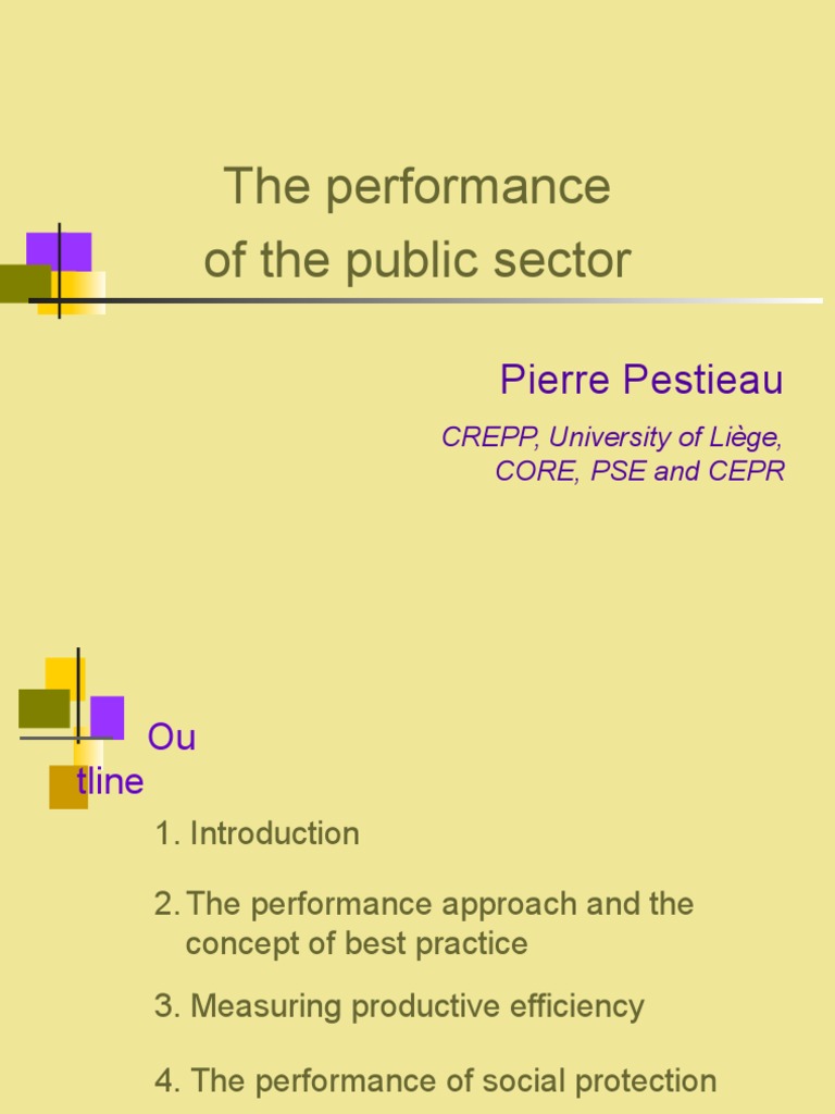 The Performance of Public Sector | PDF | Efficiency | Correlation And ...