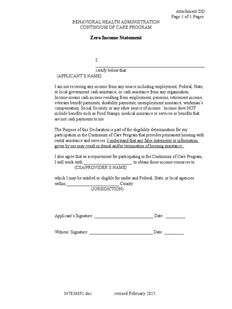 DD Zero Income Statement | PDF