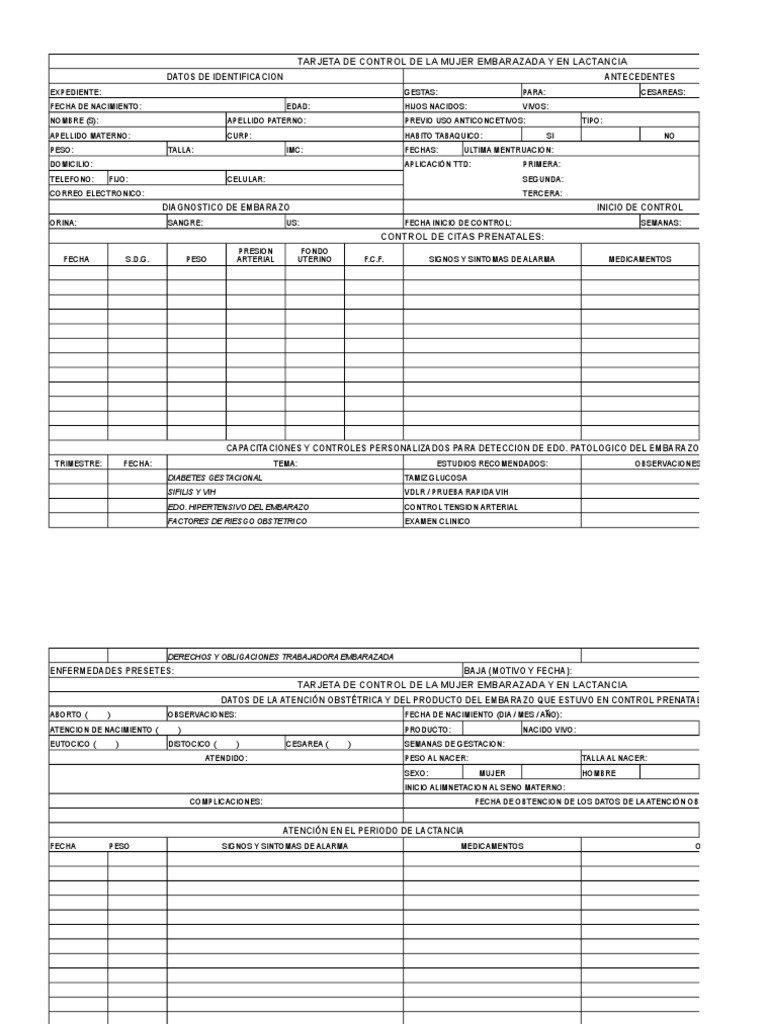 Tarjeta Control Embarazada y Lactancia | El embarazo | Parto