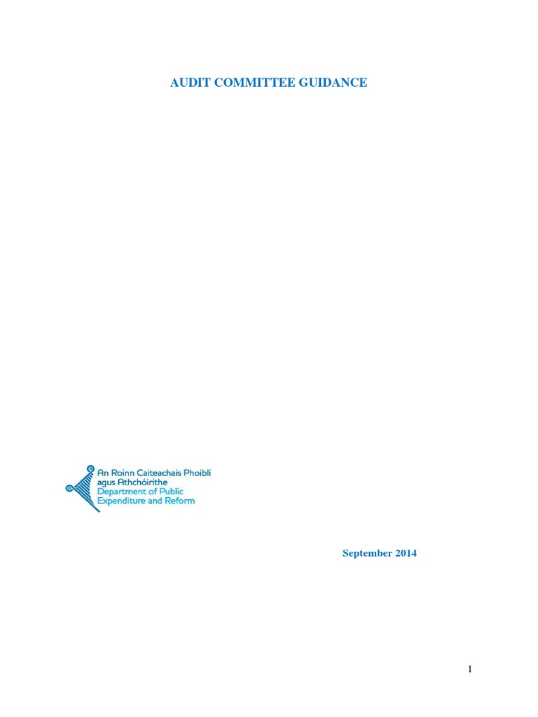 Audit Committee Guidance | PDF | Internal Audit | Audit Committee