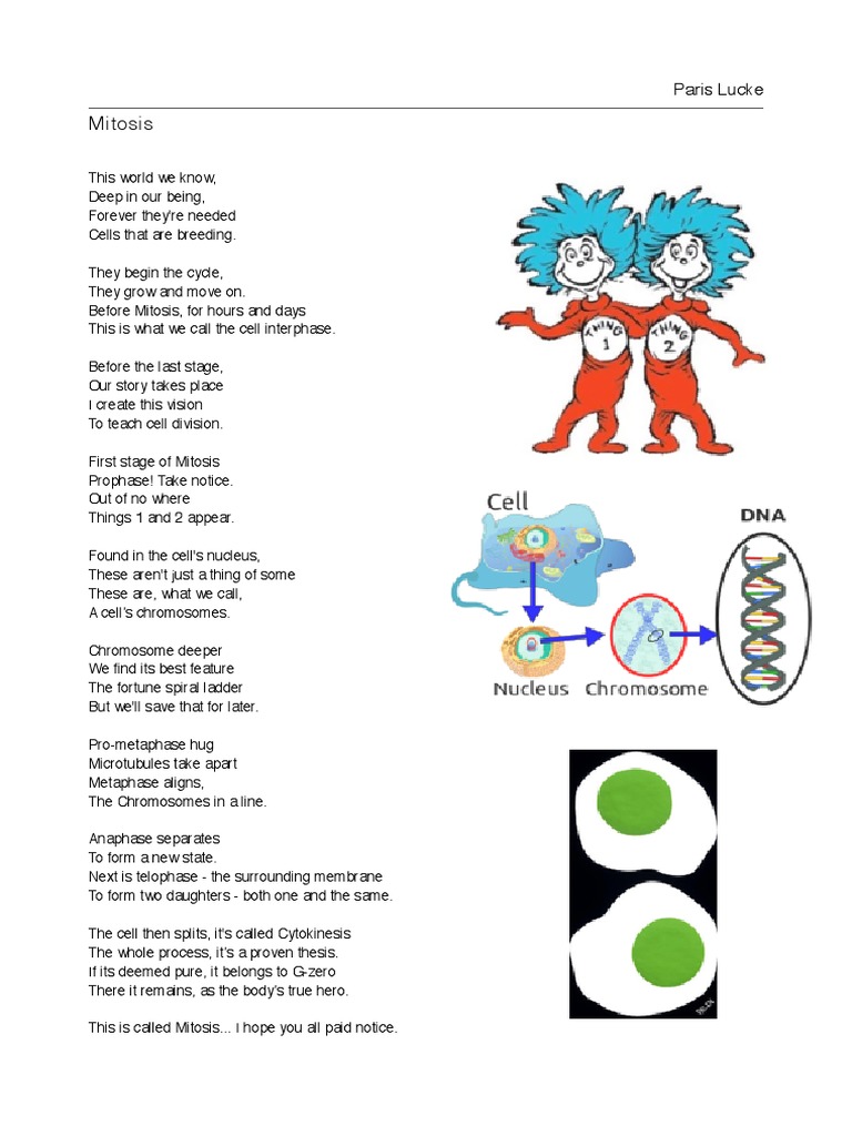 Mitosis Poem | Mitosis | Cell Anatomy | Free 30-day Trial | Scribd