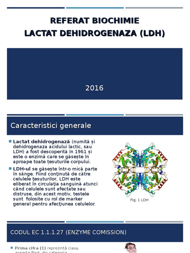 Enzima LDH | PDF