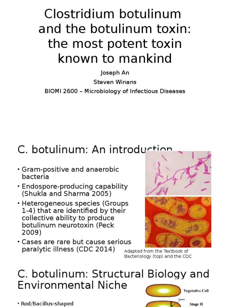 Clostridium Botulinum Presentation for BIOMI2600 Joseph An | Botulinum ...