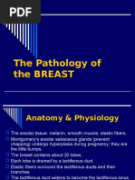 Pathology Outlines - Nonproliferative fibrocystic changes | PDF ...