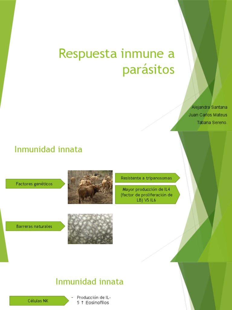 Respuesta Inmune A Parasitos | PDF | Citocina | Sistema inmune