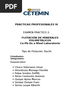 Determinación de Porcentaje de Sólido | PDF | Densidad | Física