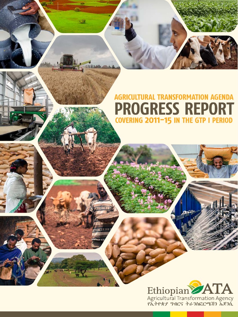 Progress Report Final11 | PDF | Agriculture | Cereals