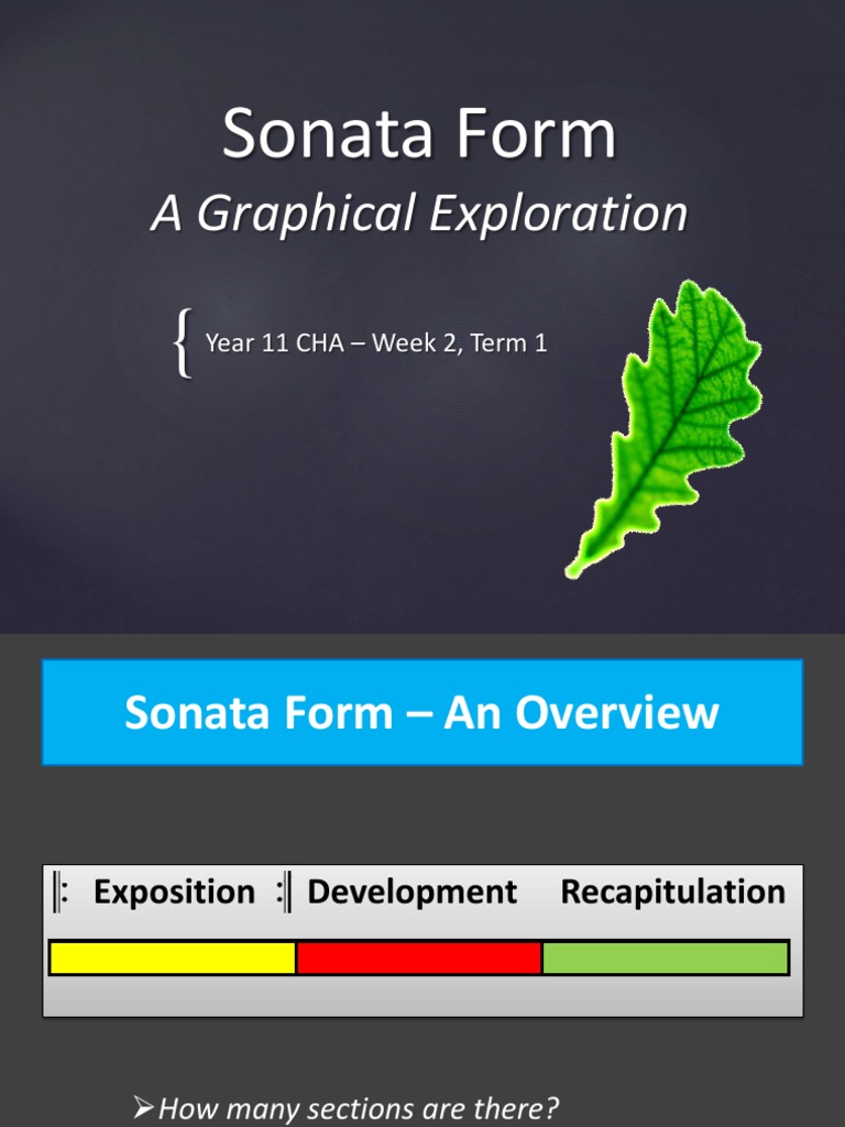 WK 2 PPT - Sonata Form (A Graphical Exploration) 2017 | PDF | Elements ...