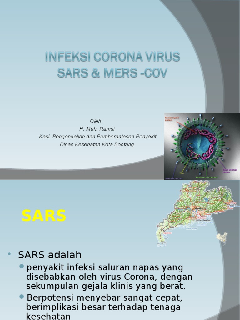 Panduan Deteksi dan Penanganan SARS-MERS | PDF | Sains & Matematika