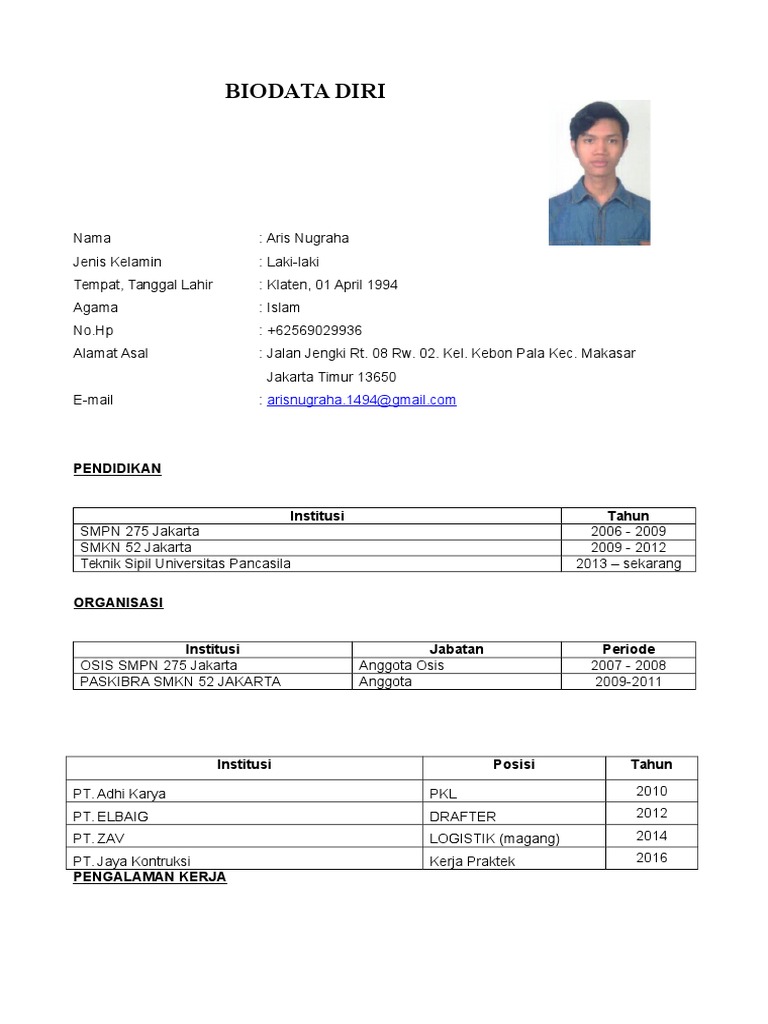 CV Aris Nugraha | PDF