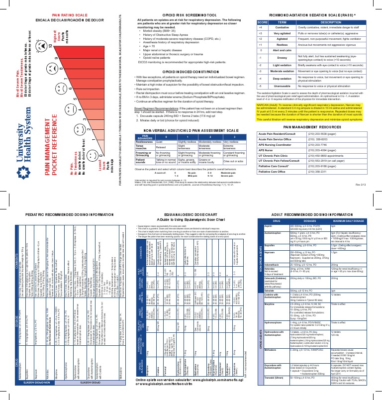 Pain Rating Scale: Escala de Clasificación de Dolor Richmond Agitation ...