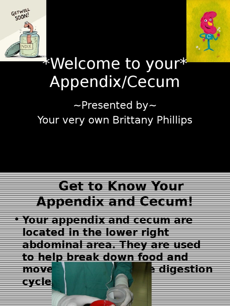 Appendix and Cecum! | Gastroenterology | Medical Specialties