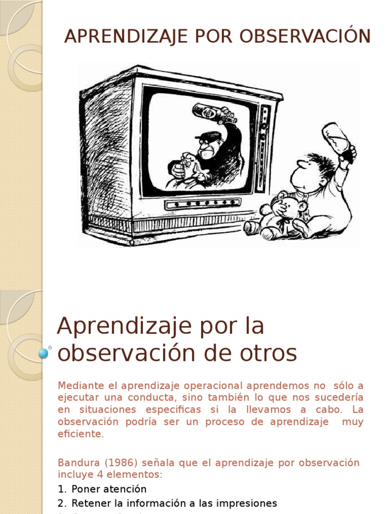 Aprendizaje Por Observación | PDF | Comportamiento | Aprendizaje