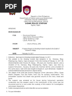 Spot Report-Shooting Incident | PDF