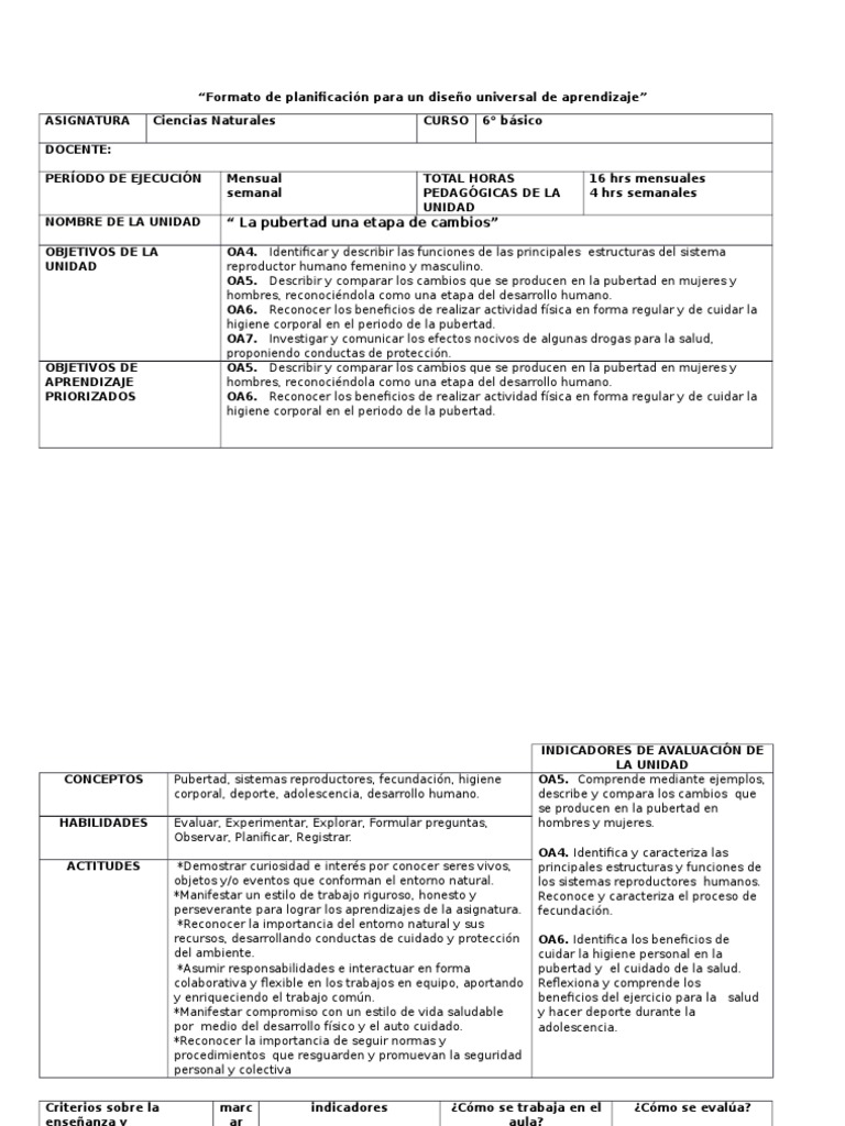 Planificacion DUA Como Modelo | Aprendizaje | Física y matemáticas ...
